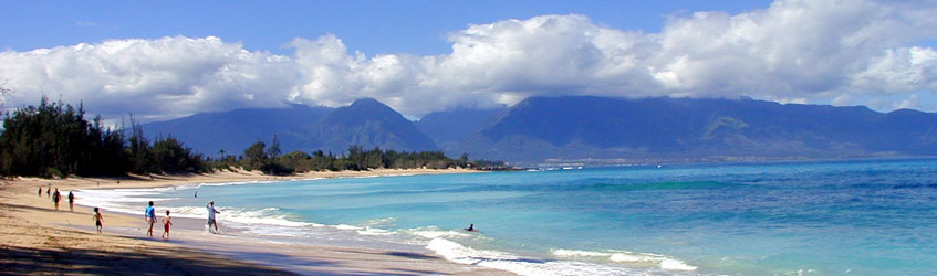 beach_scene_header_250h - Snorkel Bob's