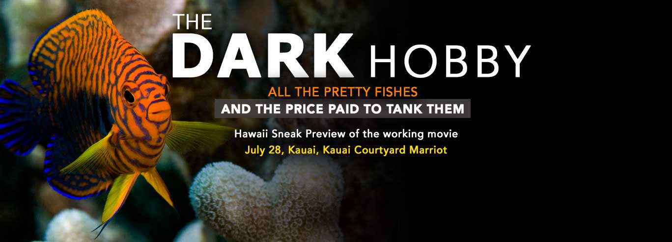 slider_DarkHobby.9 - Snorkel Bob's