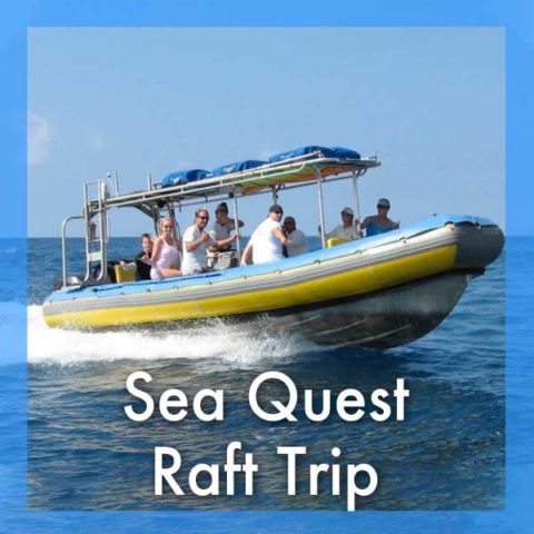 Kona Snorkeling Trips | Snorkel Bob's