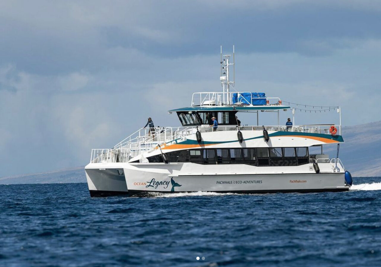Pacific Whale Foundation Molokini & Turtle Arches | Snorkel Bob's