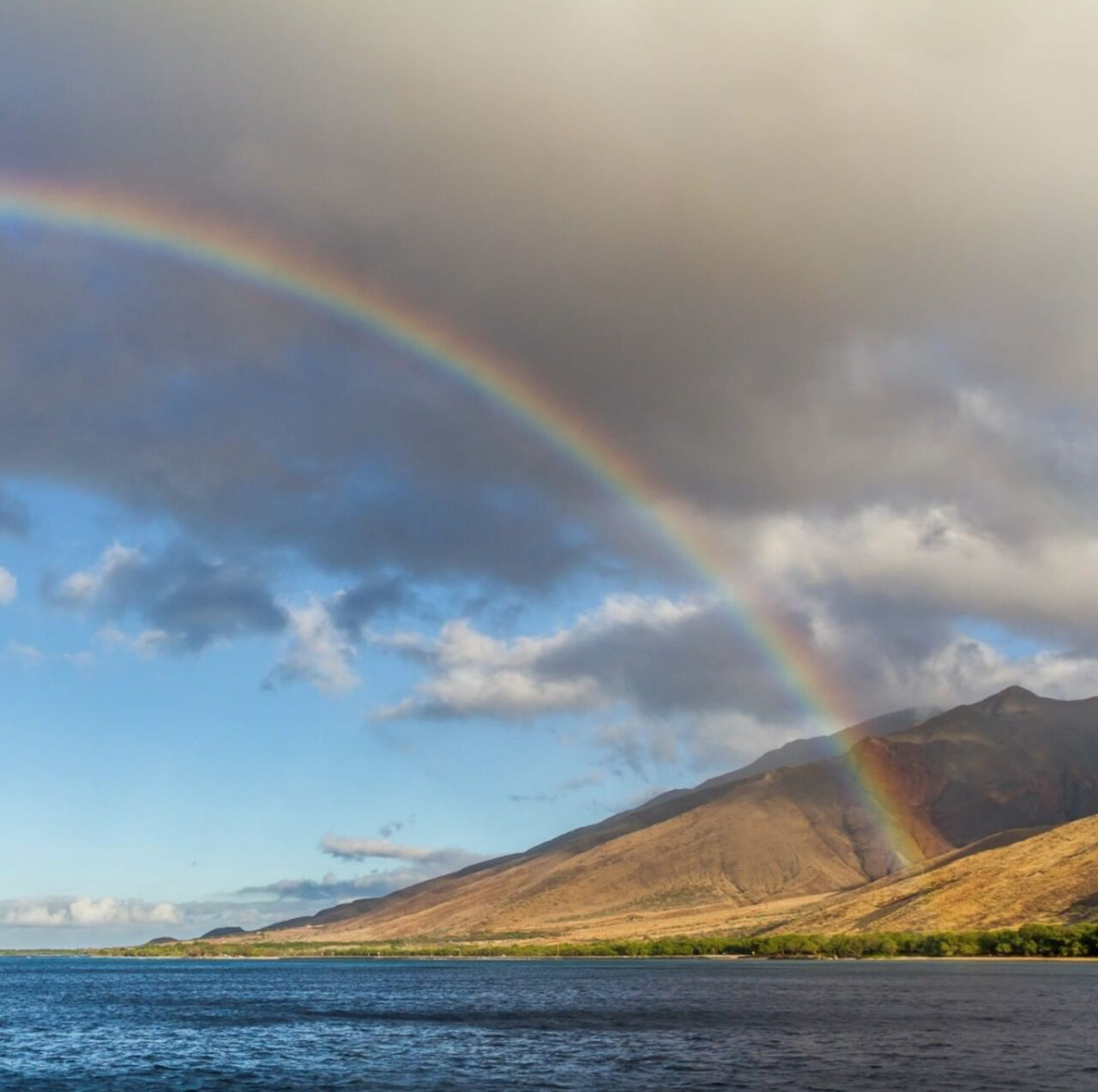 Pacific Whale Foundation Molokini & Turtle Arches | Snorkel Bob's